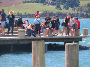 Home - Doubtless Bay