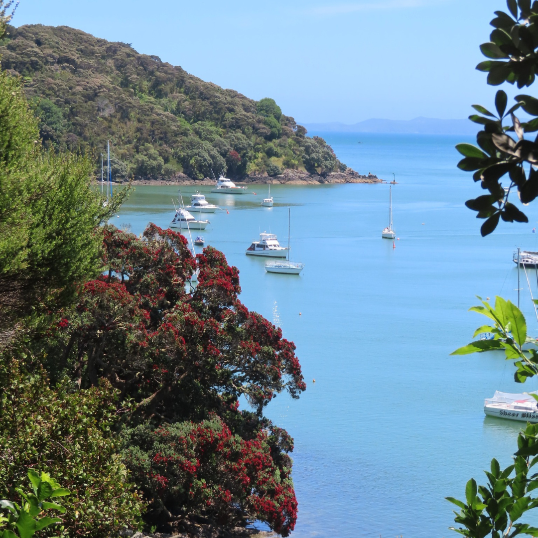 Home - Doubtless Bay