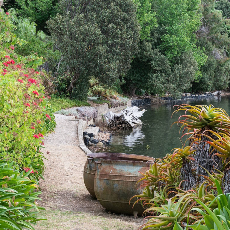 Home - Doubtless Bay